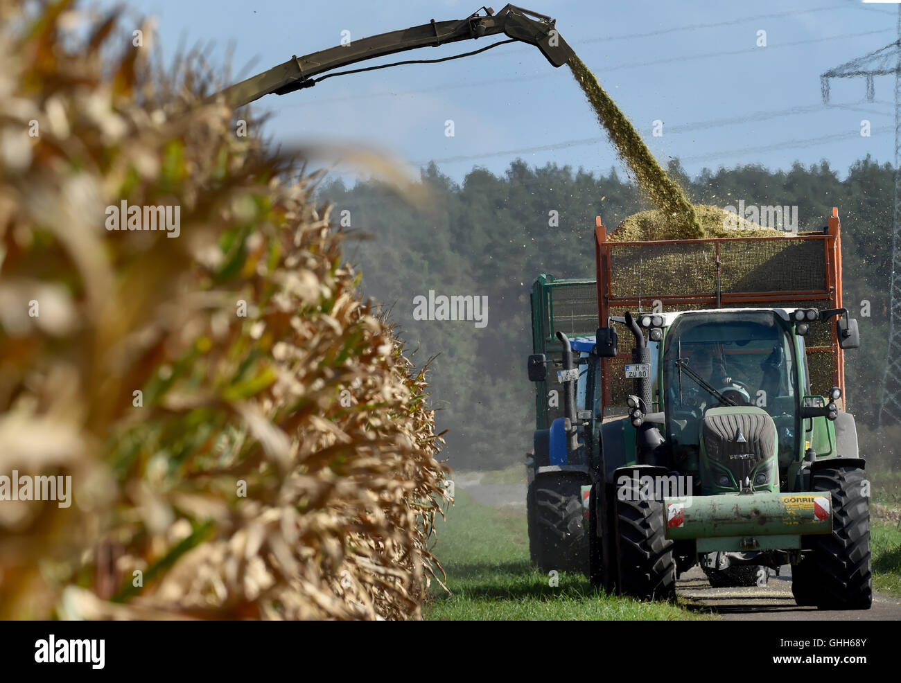 Hannover, Germany. 27th Sep, 2016. A chaff cutter pours corn chaffs ...