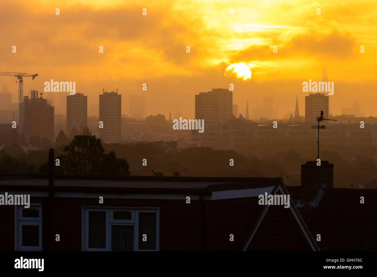 Dawn acton hi-res stock photography and images - Alamy