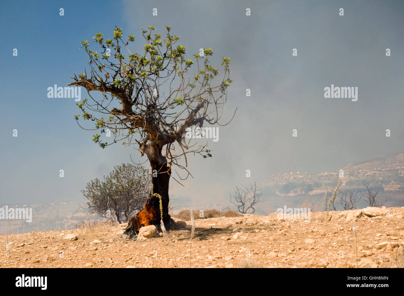 Spread of fire hi-res stock photography and images - Alamy