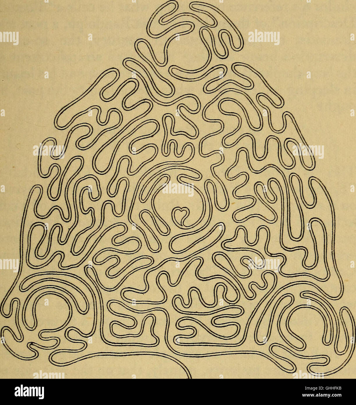 This book examines the history and evolution of mazes and labyrinths ...