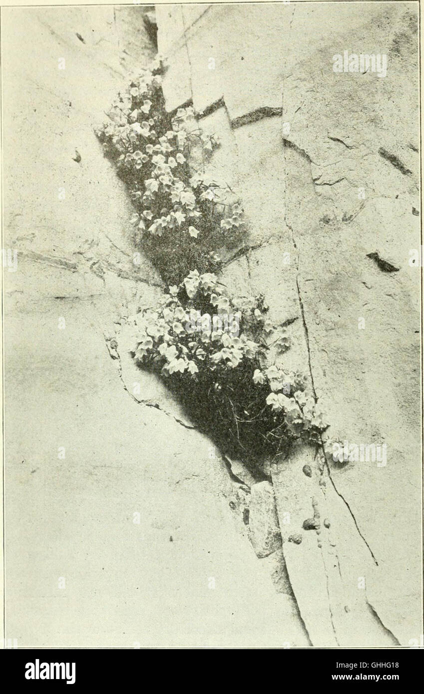 *Contributions in Geographical Exploration* (1920) is a compilation of ...