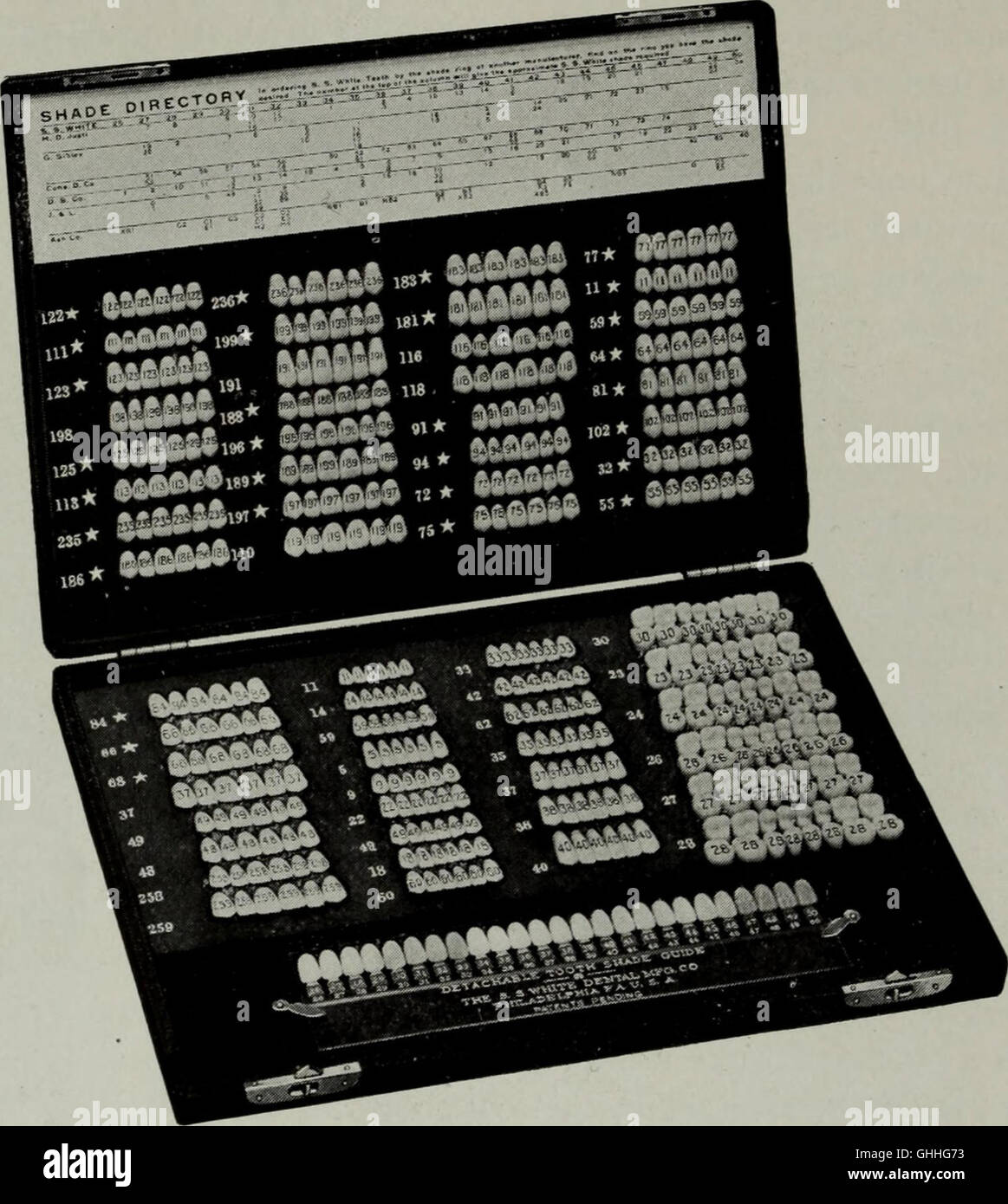 This chart offers a detailed guide to dental molds, providing ...