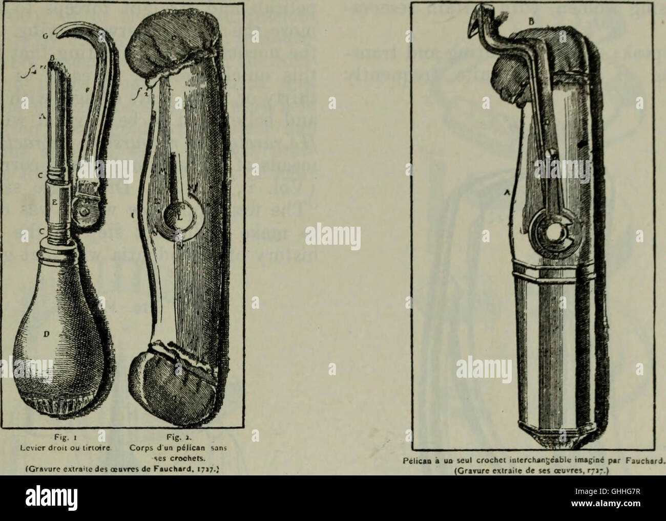 Dental pelican hi-res stock photography and images - Alamy