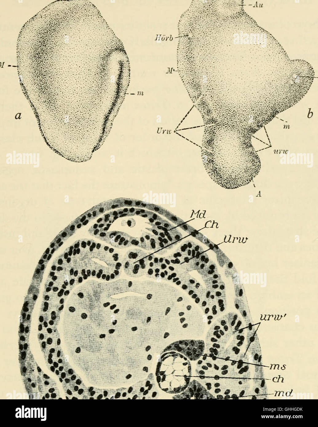 This 1963 text examines the fundamental aspects of experimental ...