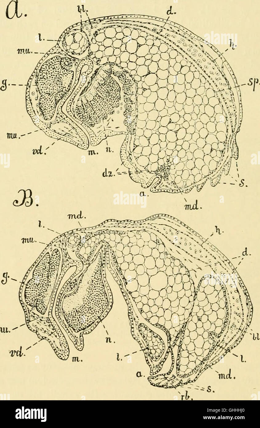 This textbook, published in 1900, provides an in-depth study of the ...