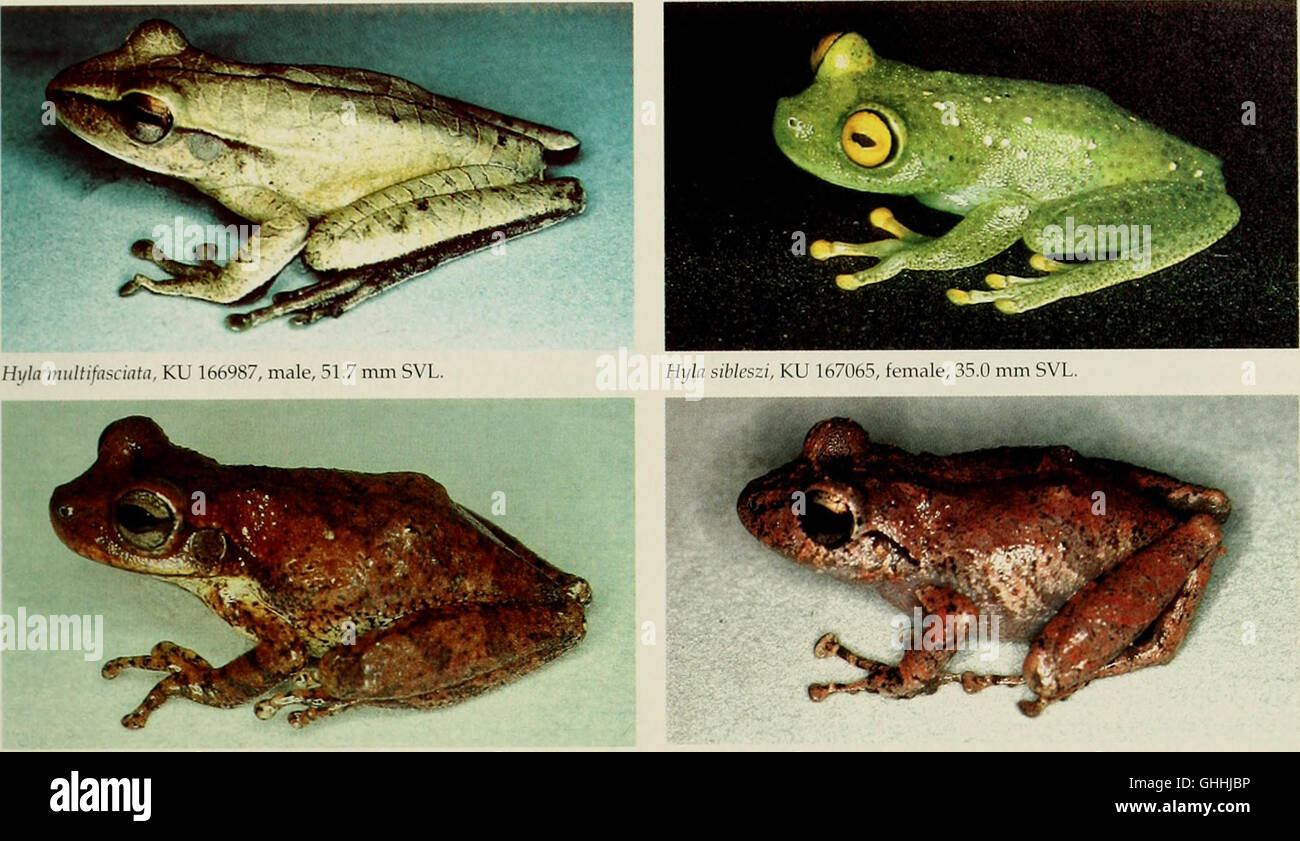This 1997 study explores the amphibian species of the La Escalera ...