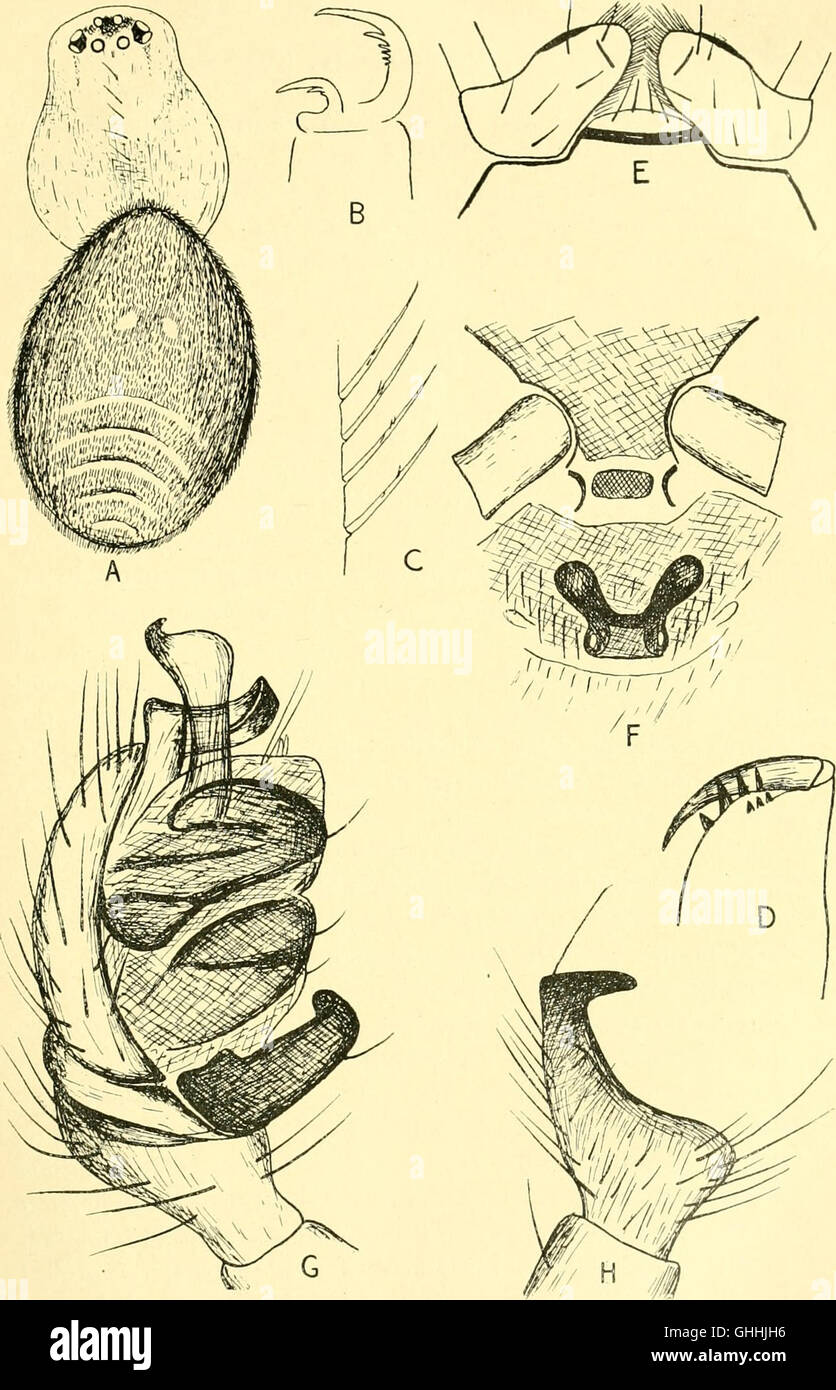*African Invertebrates* (1914-1919) is a scientific journal that ...
