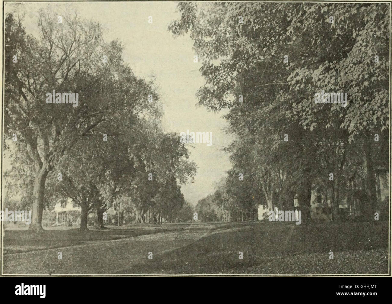 A history of Hatfield, Massachusetts, divided into three parts ...