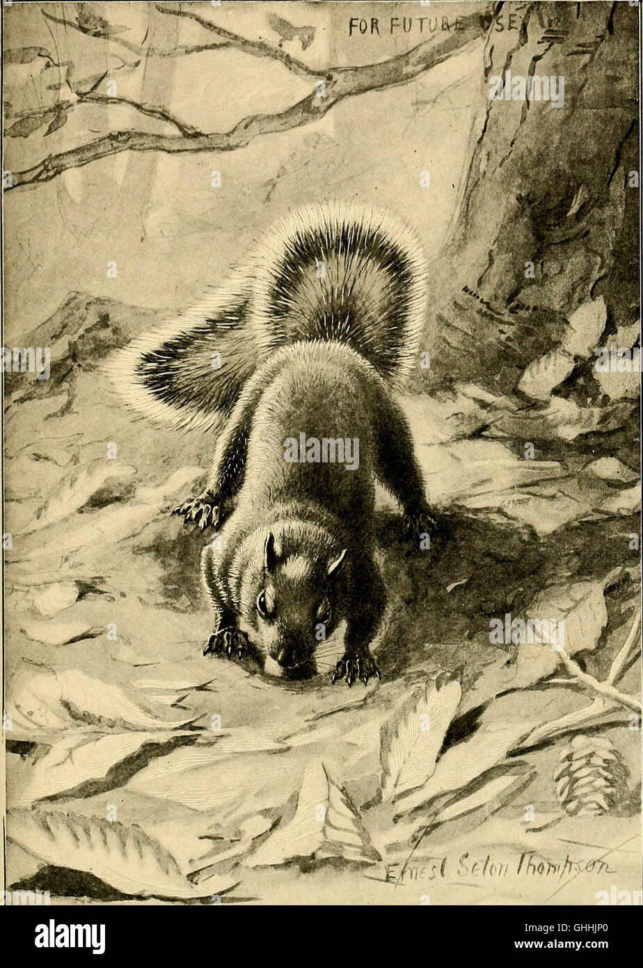 Kin font hi-res stock photography and images - Alamy