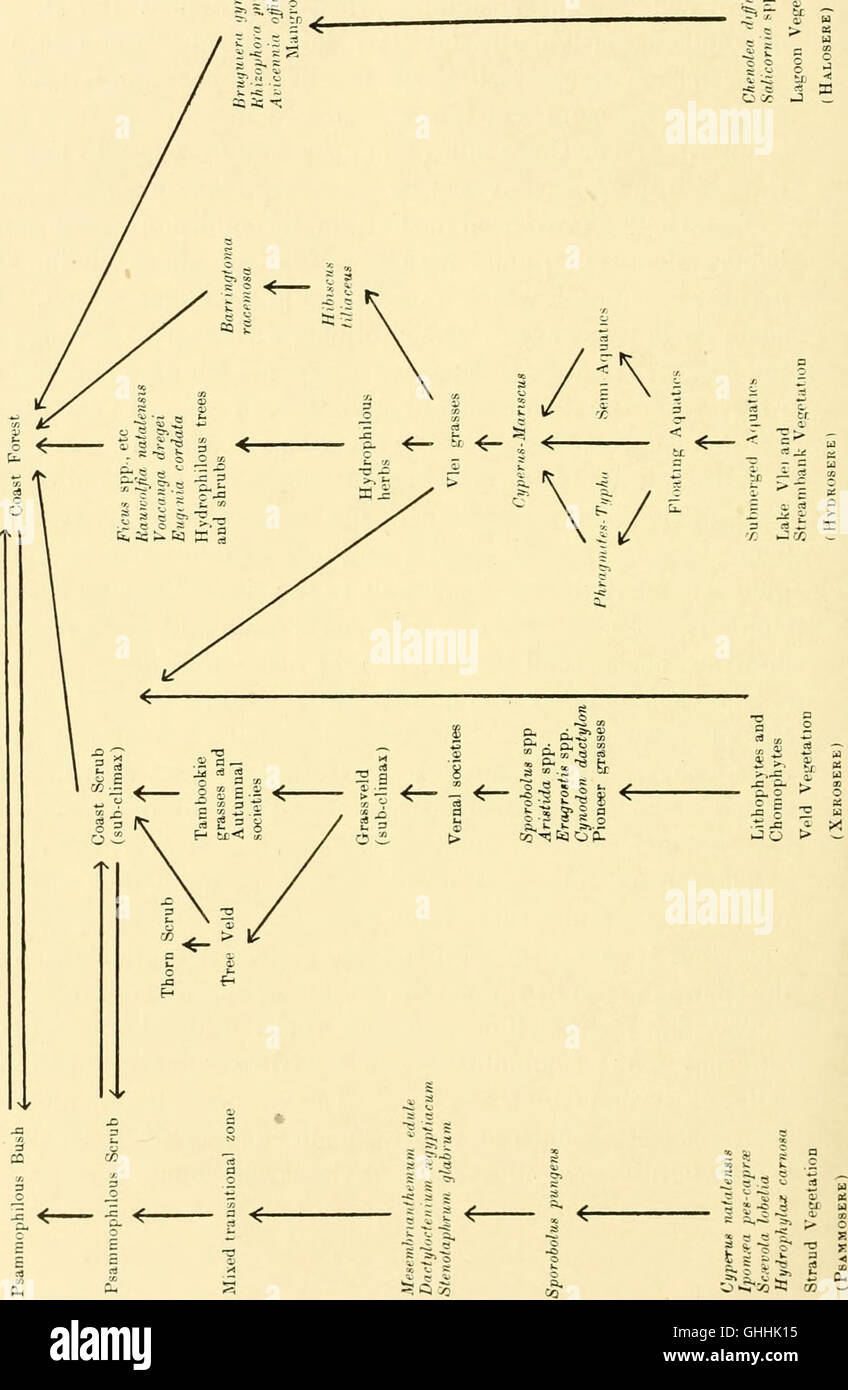 The 'African Invertebrates' journal, published from 1919 to 1924 ...