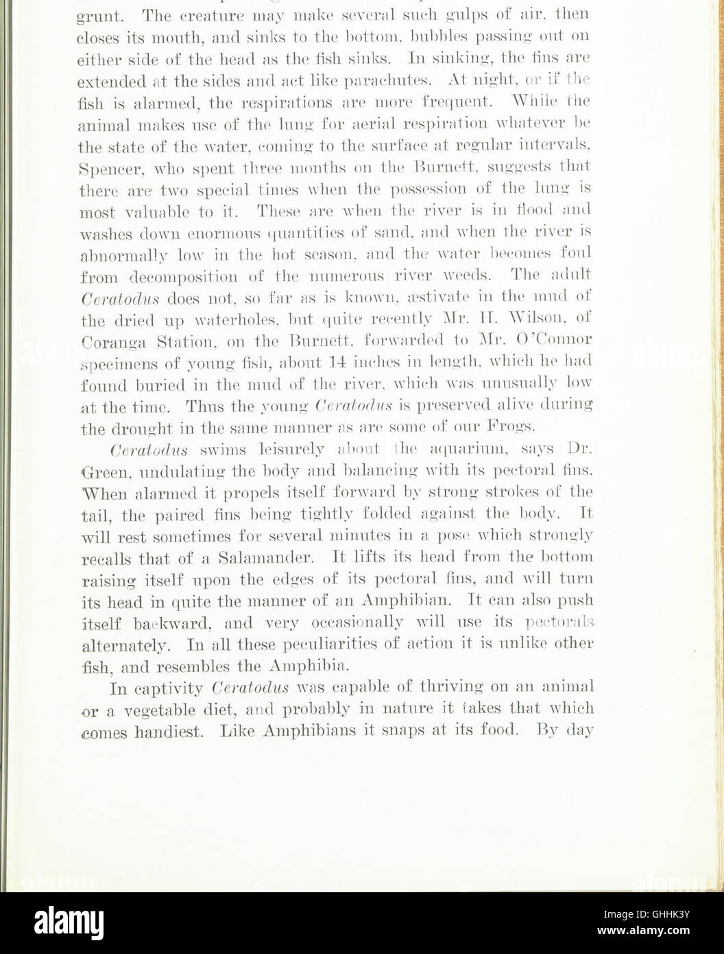 'The Animals of Australia' (1909) provides a detailed look at the ...