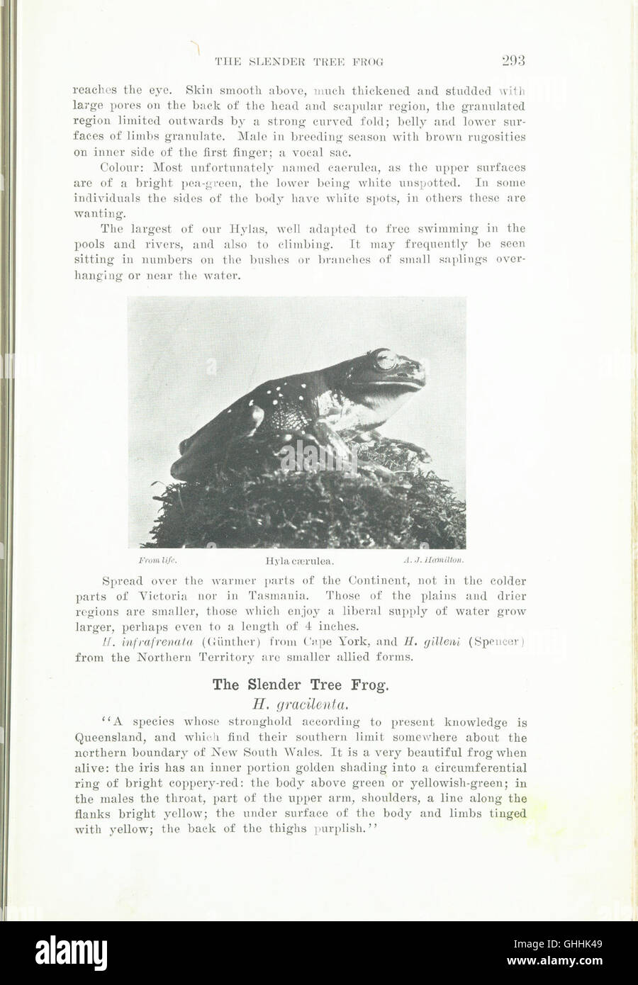 'The Animals of Australia' (1909) is a comprehensive work detailing the ...