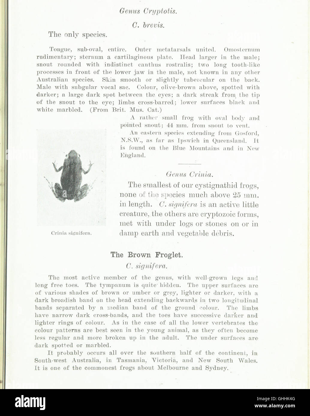 'The Animals of Australia' (1909) explores the diverse wildlife of ...