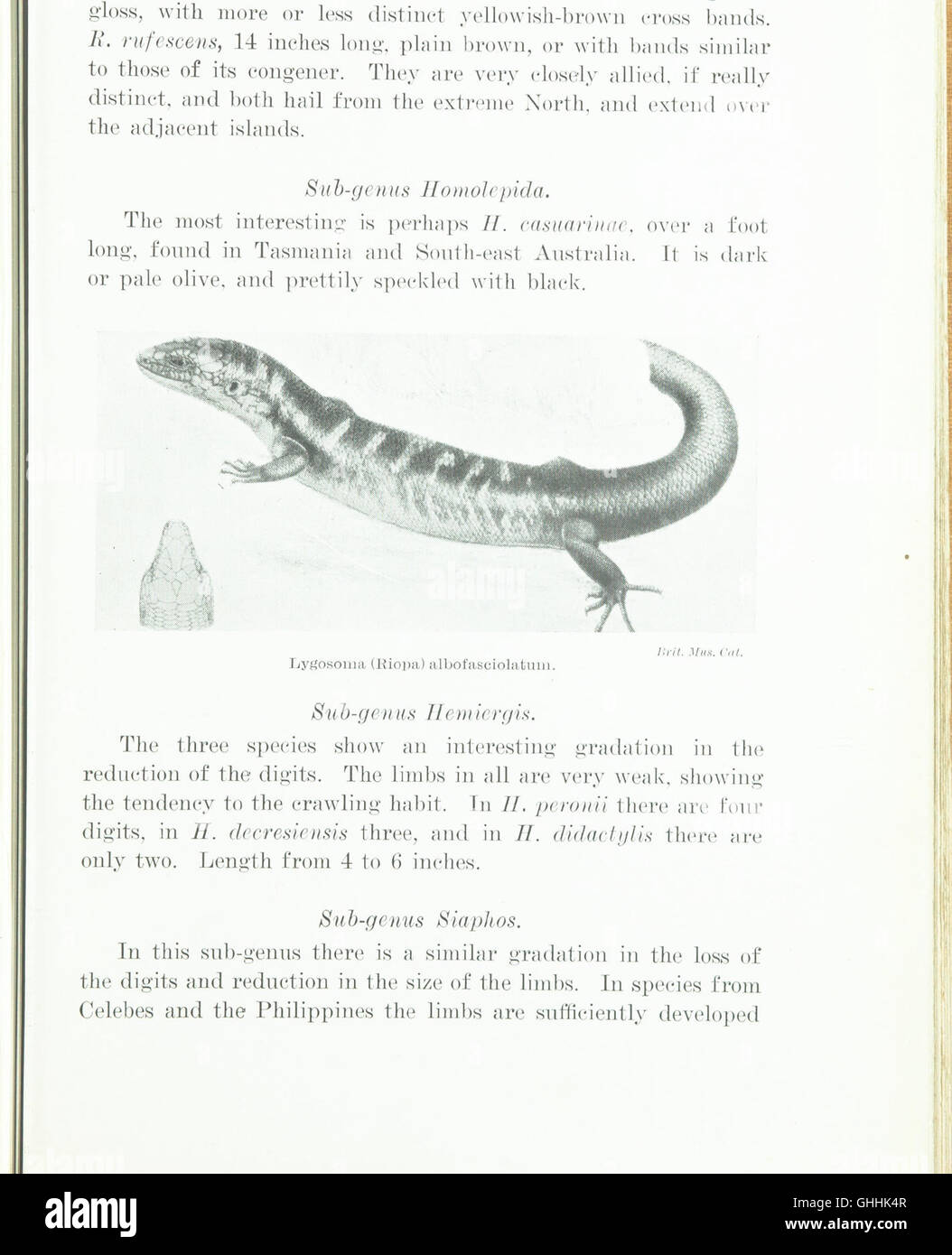 'The Animals of Australia' (1909) offers a detailed examination of ...