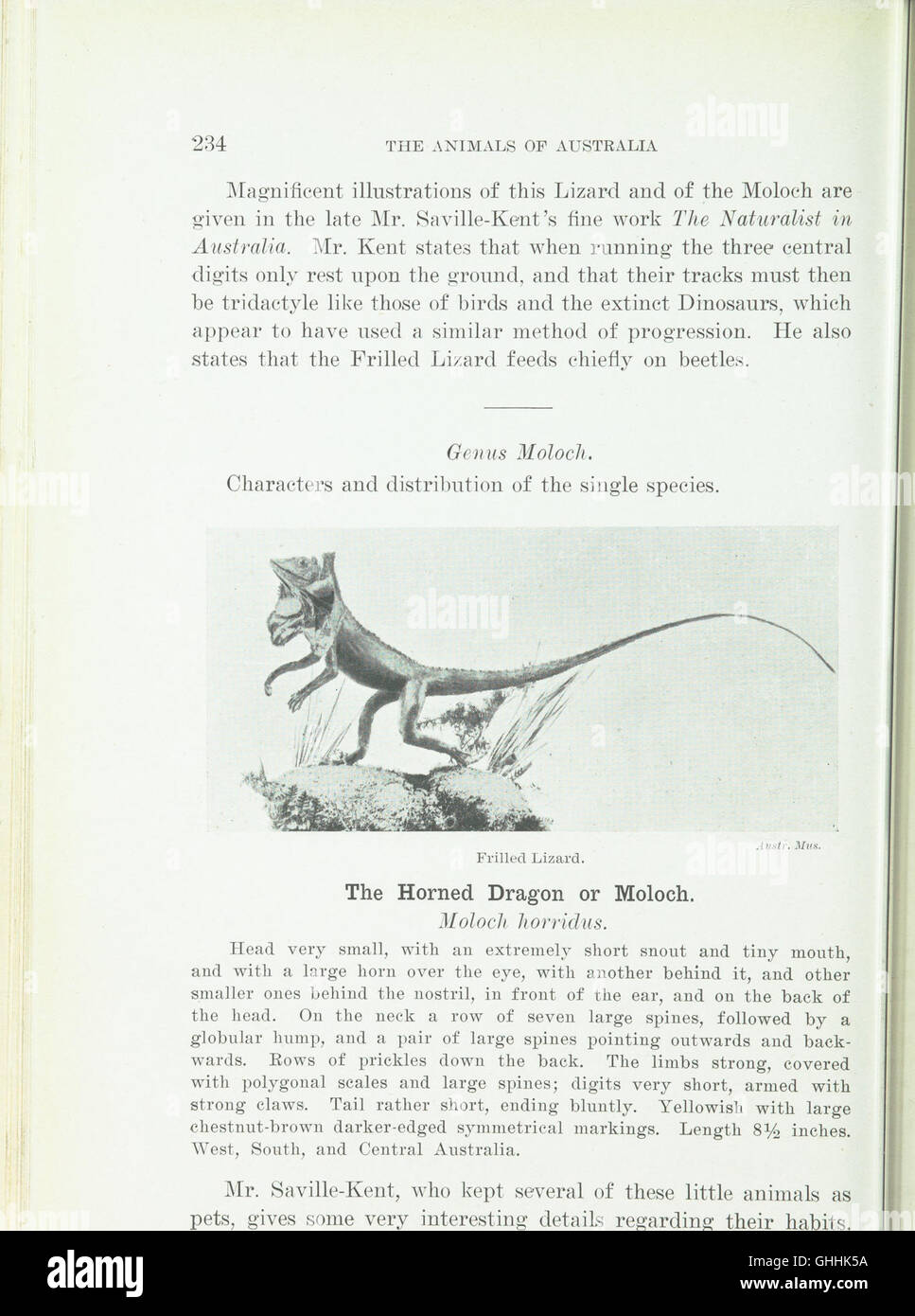 *The Animals of Australia* (1909) provides an overview of Australia's ...