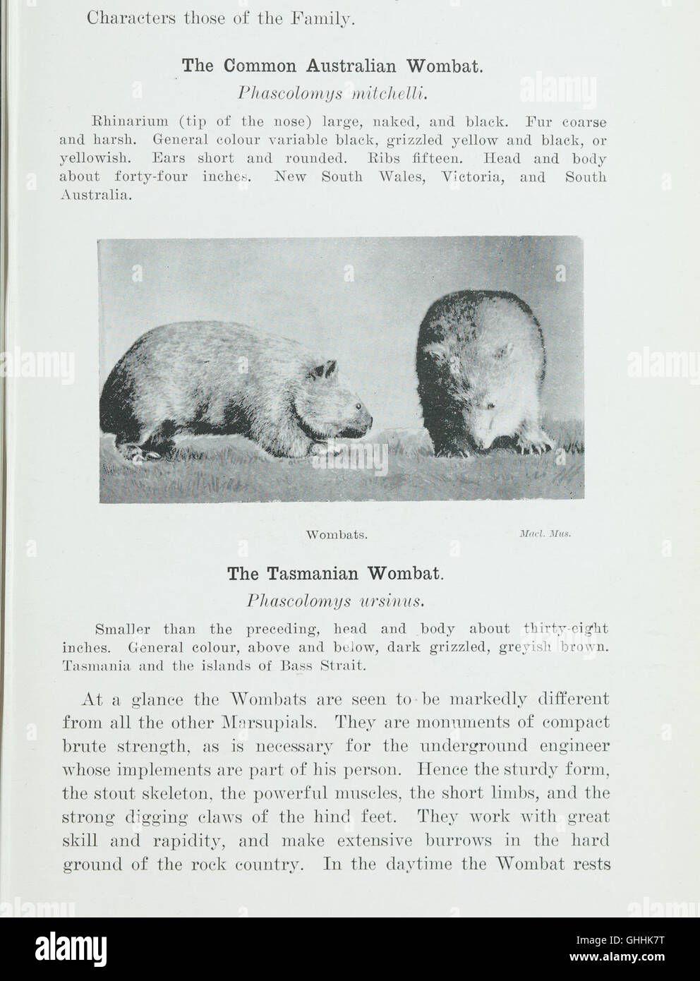 The Animals of Australia (1909) provides a comprehensive guide to the ...