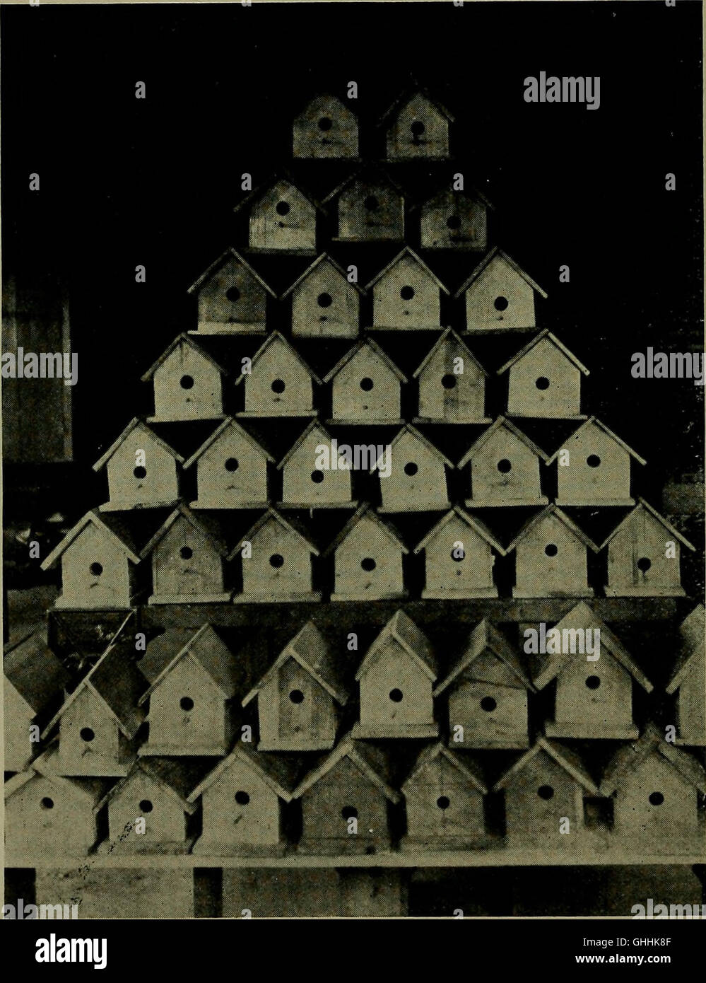 'Bird Lore' (1914) is a publication focused on the study and ...