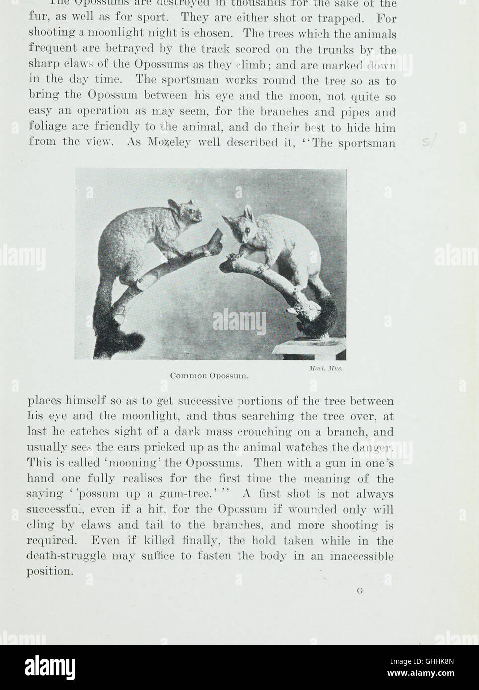 *The Animals of Australia* (1909) is a comprehensive guide to the ...