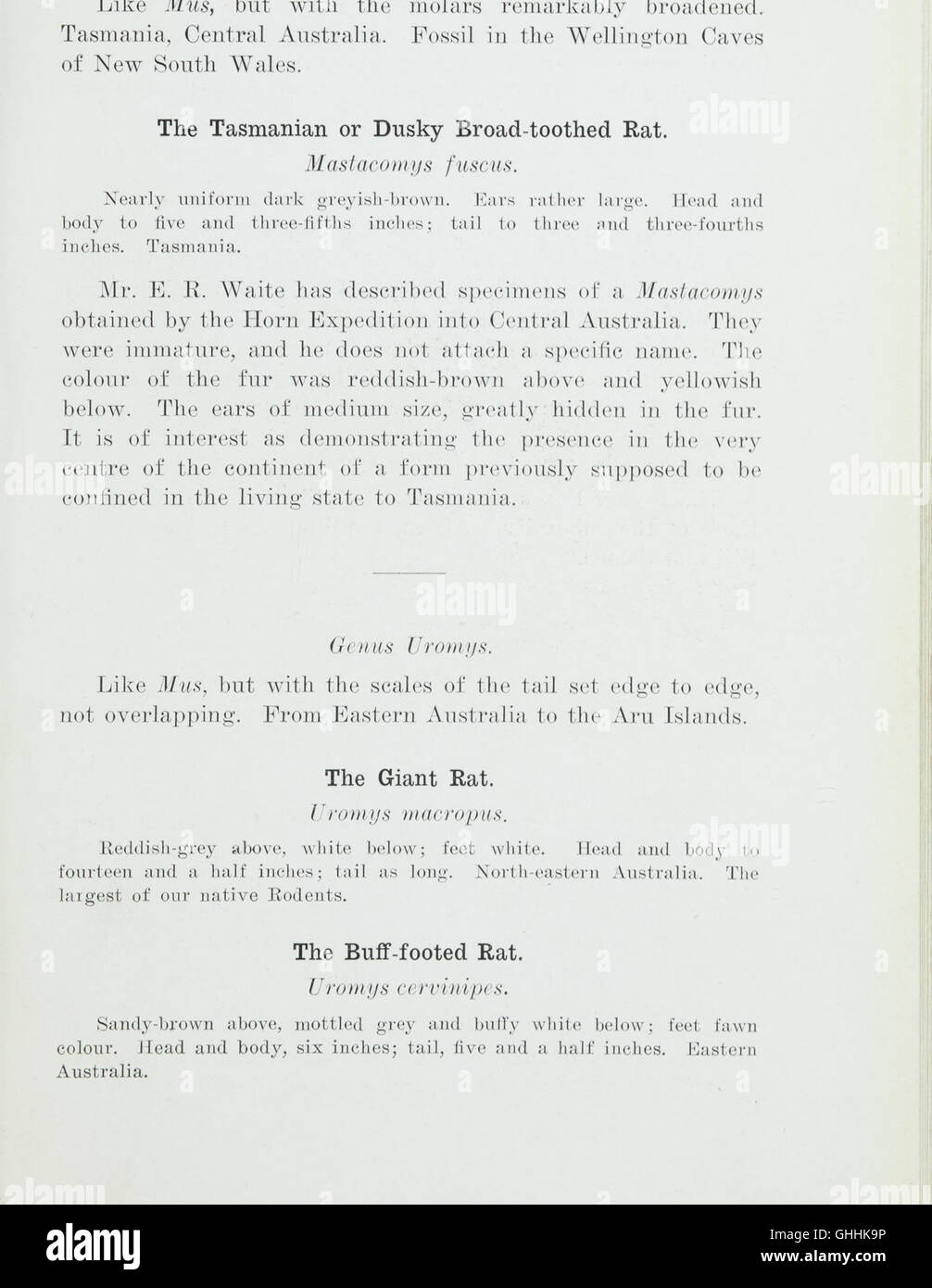 'The Animals of Australia' (1909) is an in-depth scientific exploration ...