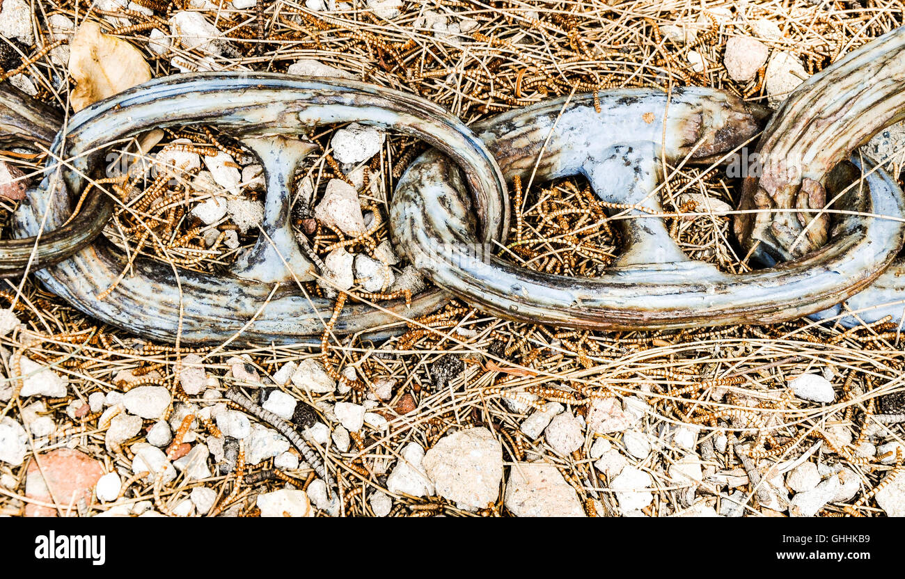 Old extra large chain links on outdoor ground surface with pebbles and ...
