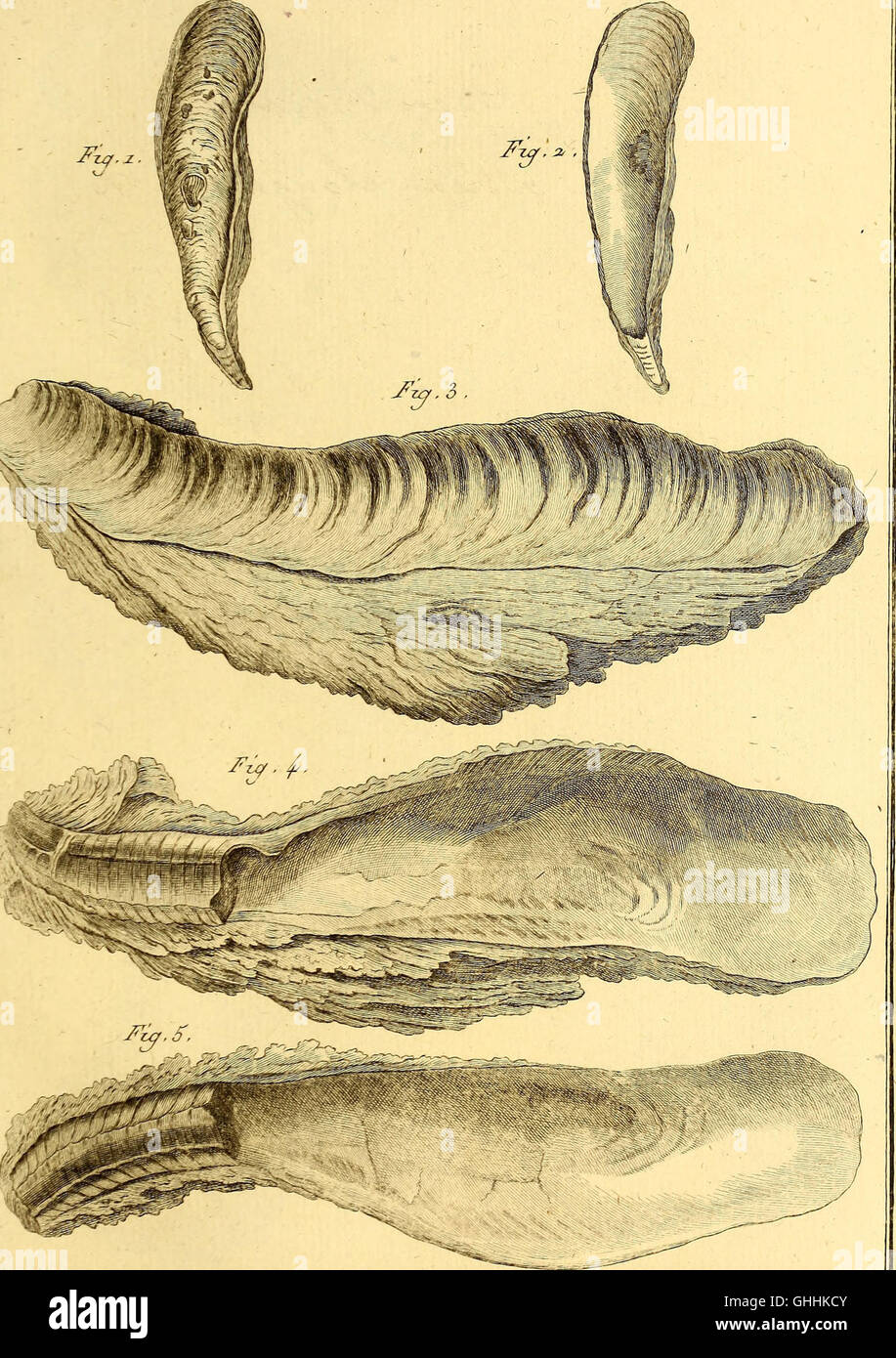This 1791 work by Jean-Baptiste Lamarck presents an encyclopedic and ...