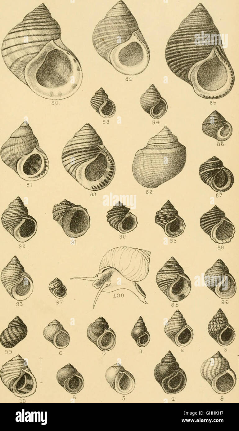 This 1887 manual provides detailed illustrations and descriptions of ...