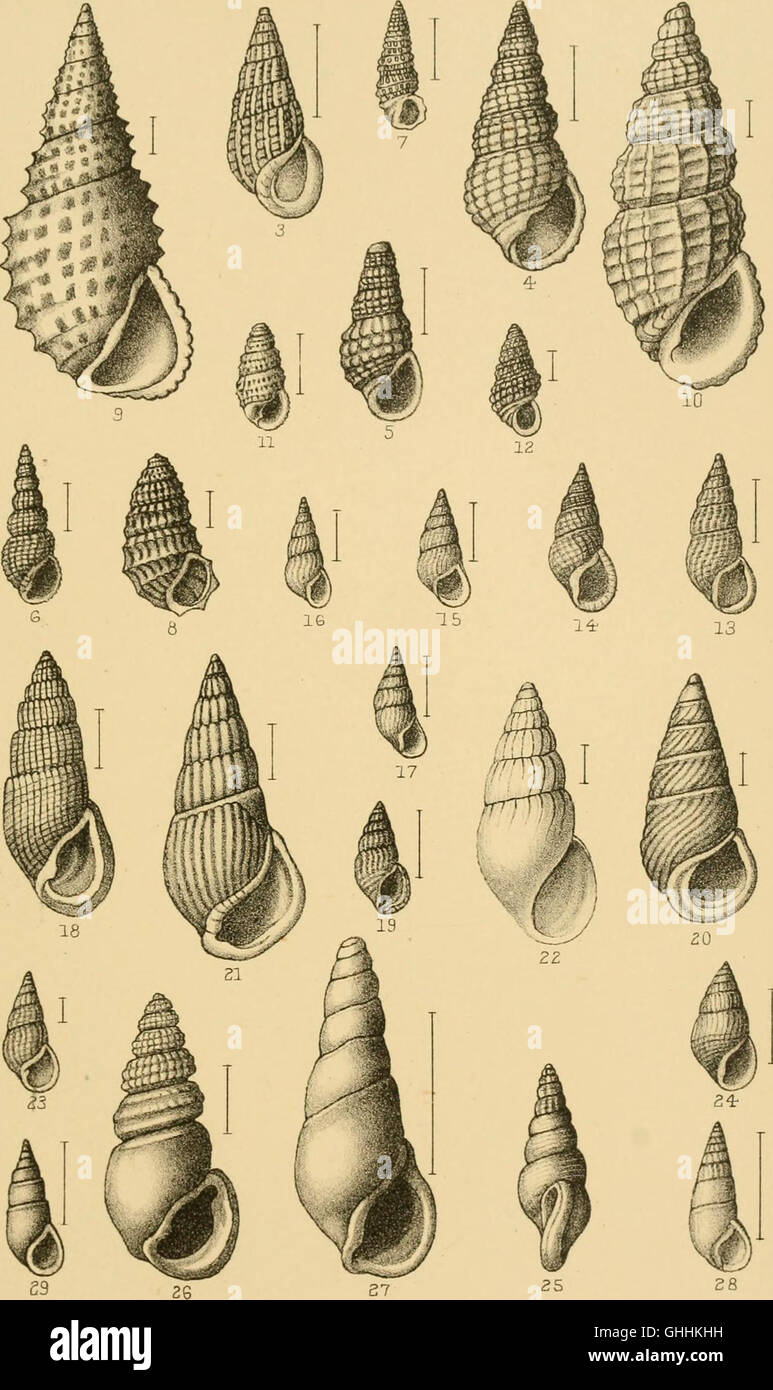 This 1887 manual offers a detailed study of the structure and ...