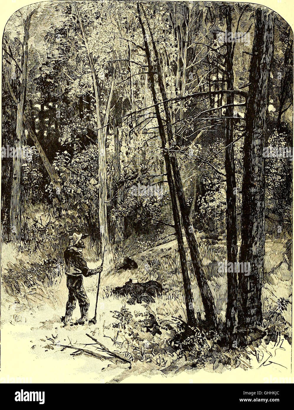 *St. Nicholas* (1873) is a popular American children's magazine that ...