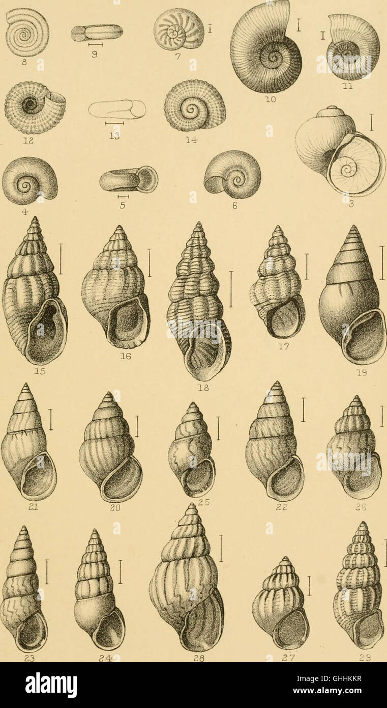 This 1887 manual provides a comprehensive guide to the structure ...