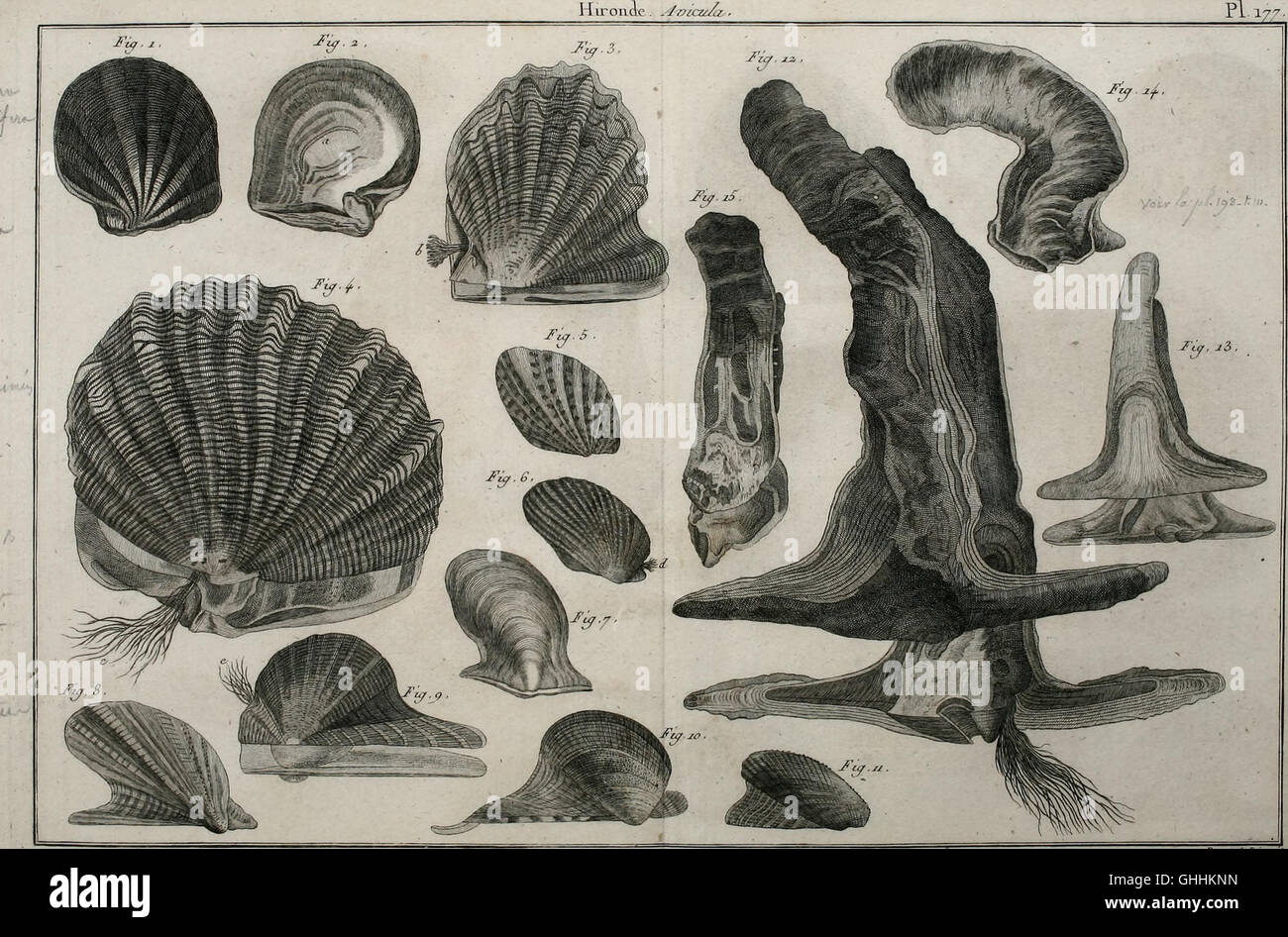 Published in 1791, this work presents a systematic classification of ...