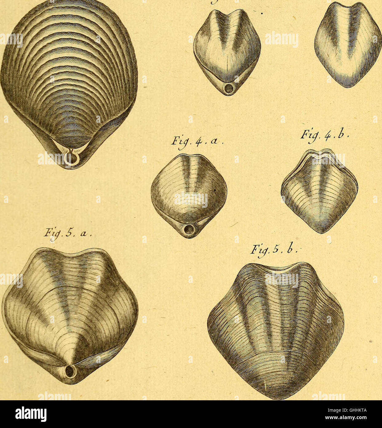 This 1791 work, 'Tableau Encyclopédique,' provides a methodical and ...