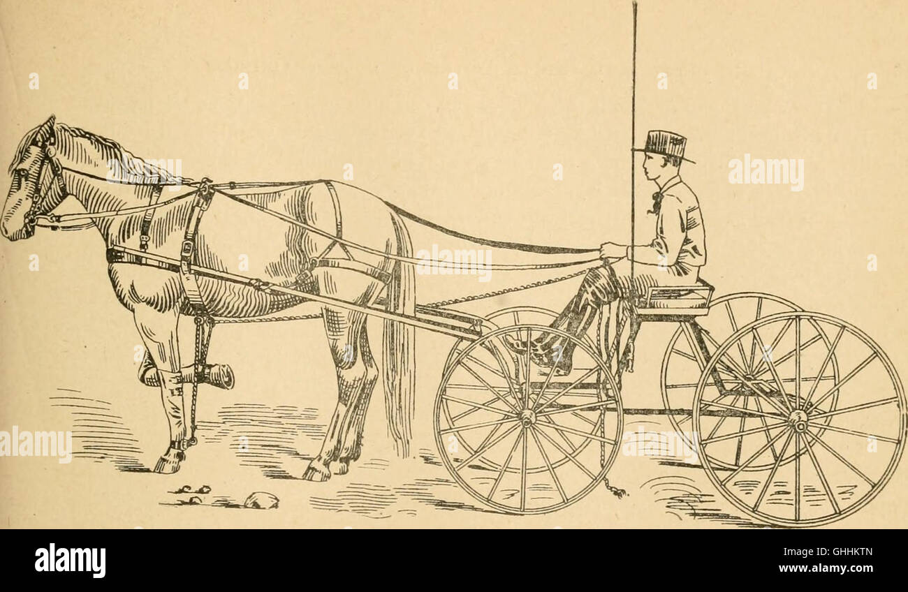 A 1890 guide by Jesse Beery on colt training, offering practical ...