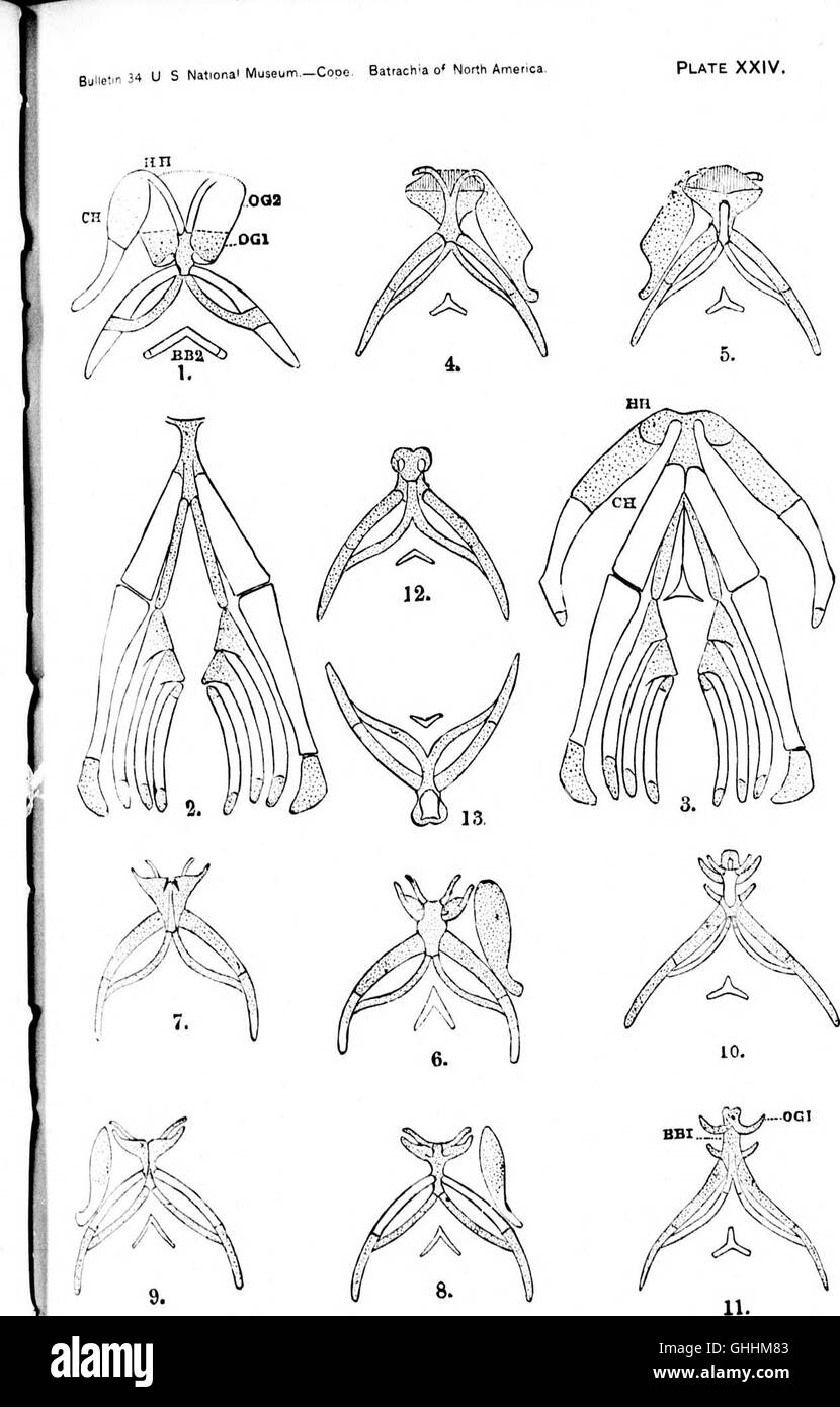 'The Batrachia of North America' (1889) is a work dedicated to the ...