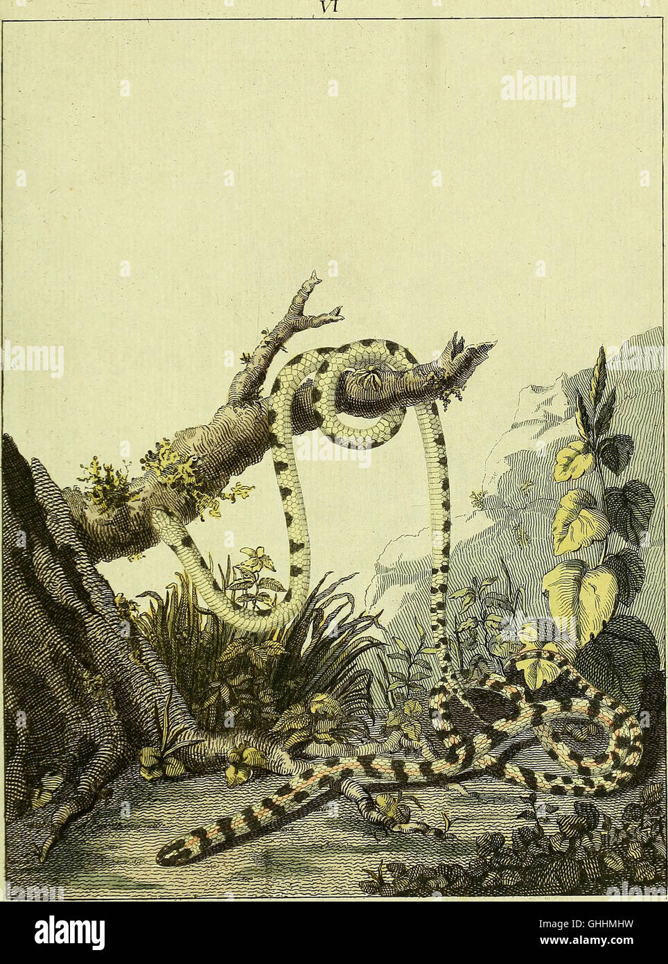 The 1790 work 'Beitraege zur Naturgeschichte' contributes to the field ...