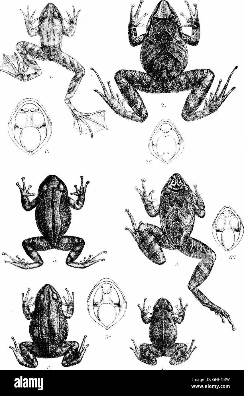 This catalogue from 1882 details the collection of the British Museum’s ...