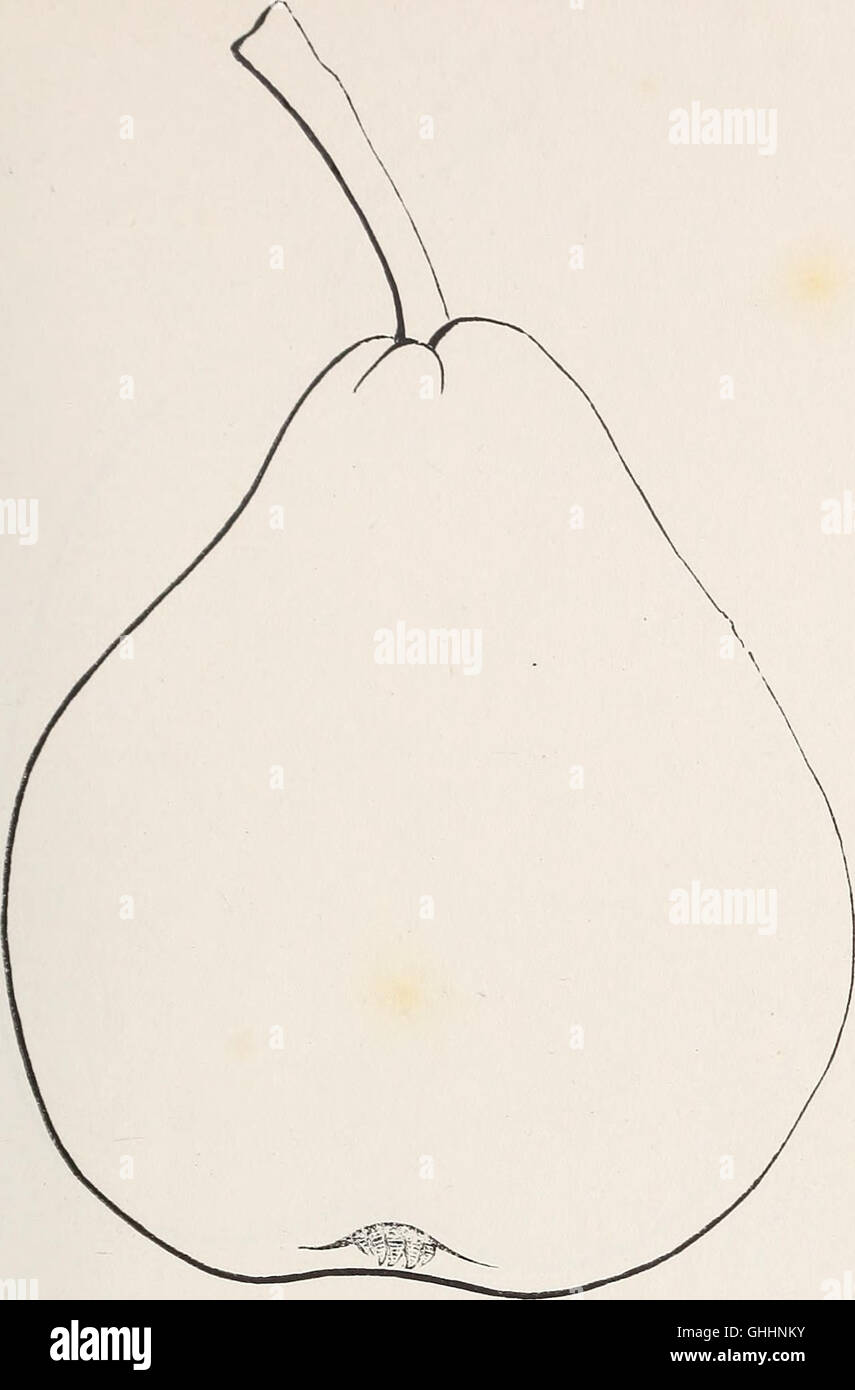A French publication from 1860 featuring 40 varieties of pears ...