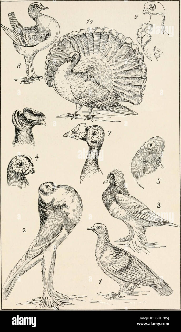 Published in 1907, this book provides an accessible introduction to the ...
