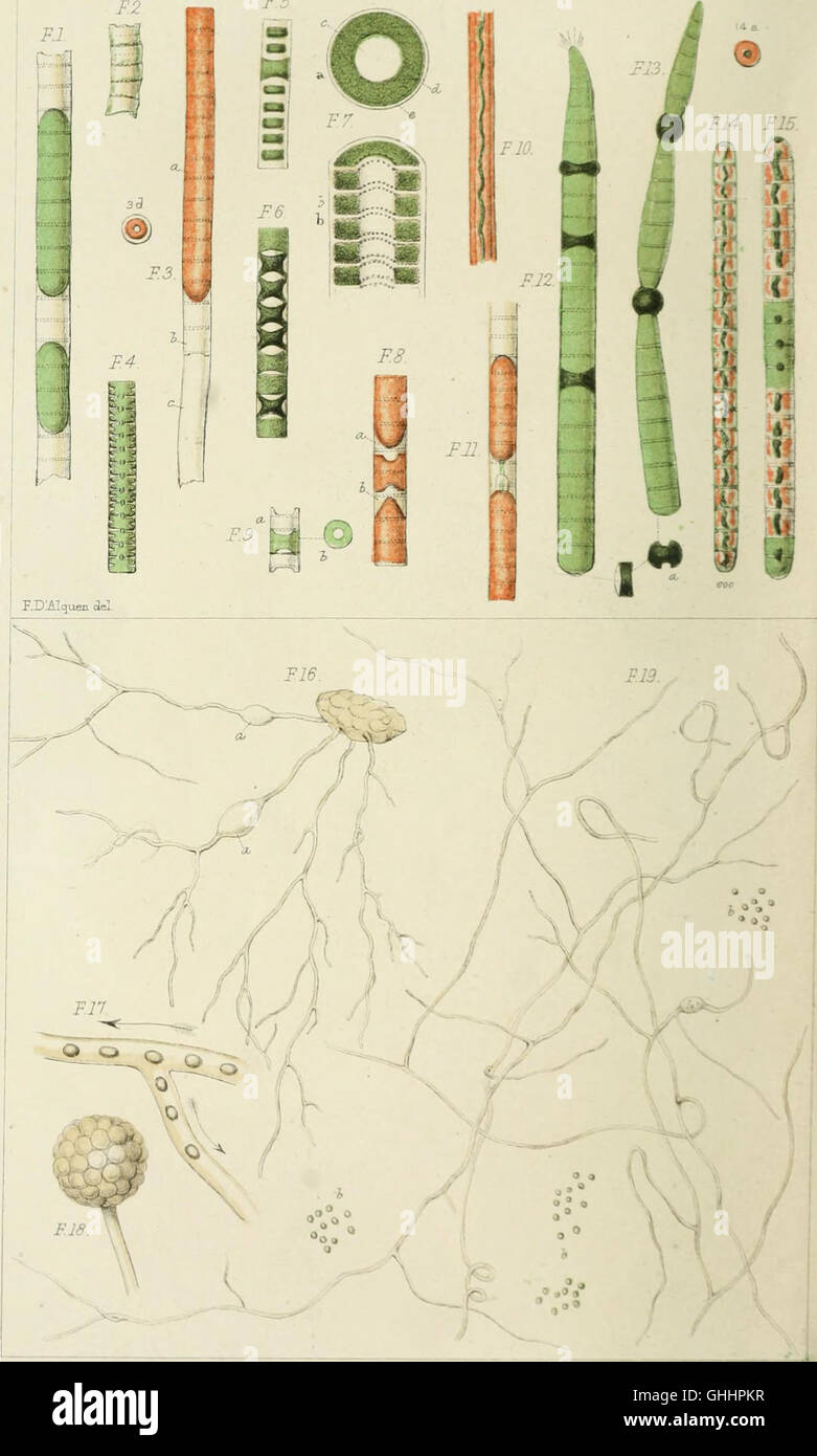 This 1853 journal covers various topics in microscopy, presenting ...