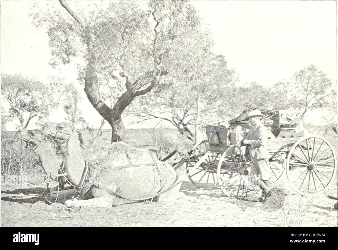 This 1896 report details the scientific findings of the Horn Expedition ...