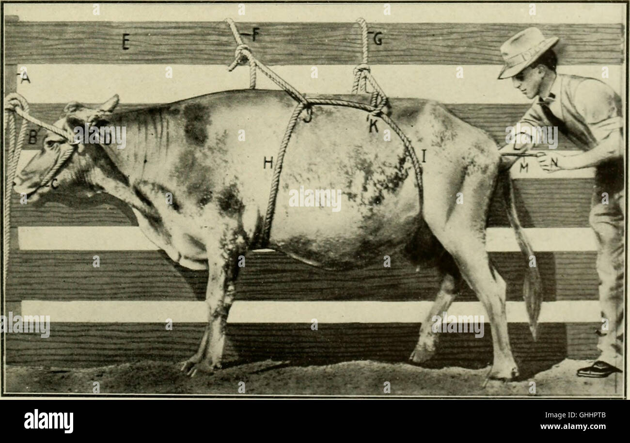 *Animal Castration* (1914) is a technical guide aimed at students and ...