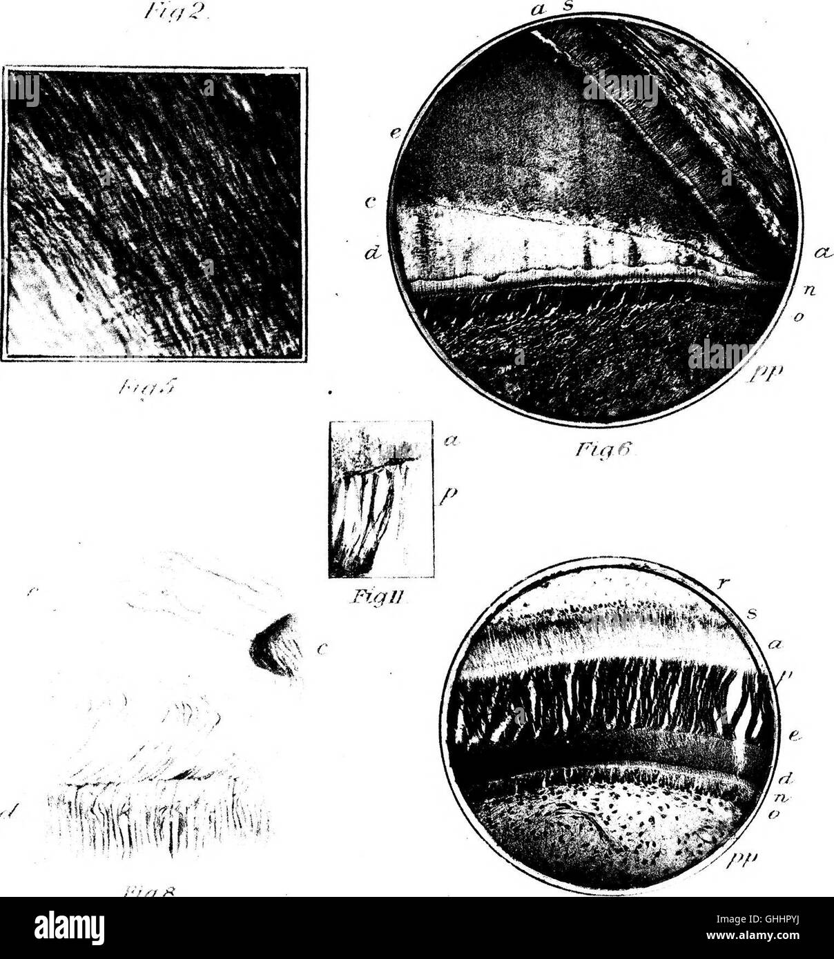 Study implications Cut Out Stock Images & Pictures - Alamy