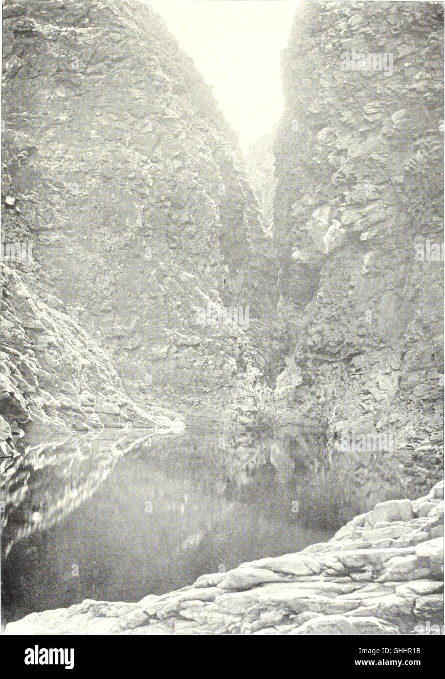 This 1896 report documents the scientific findings from the Horn ...