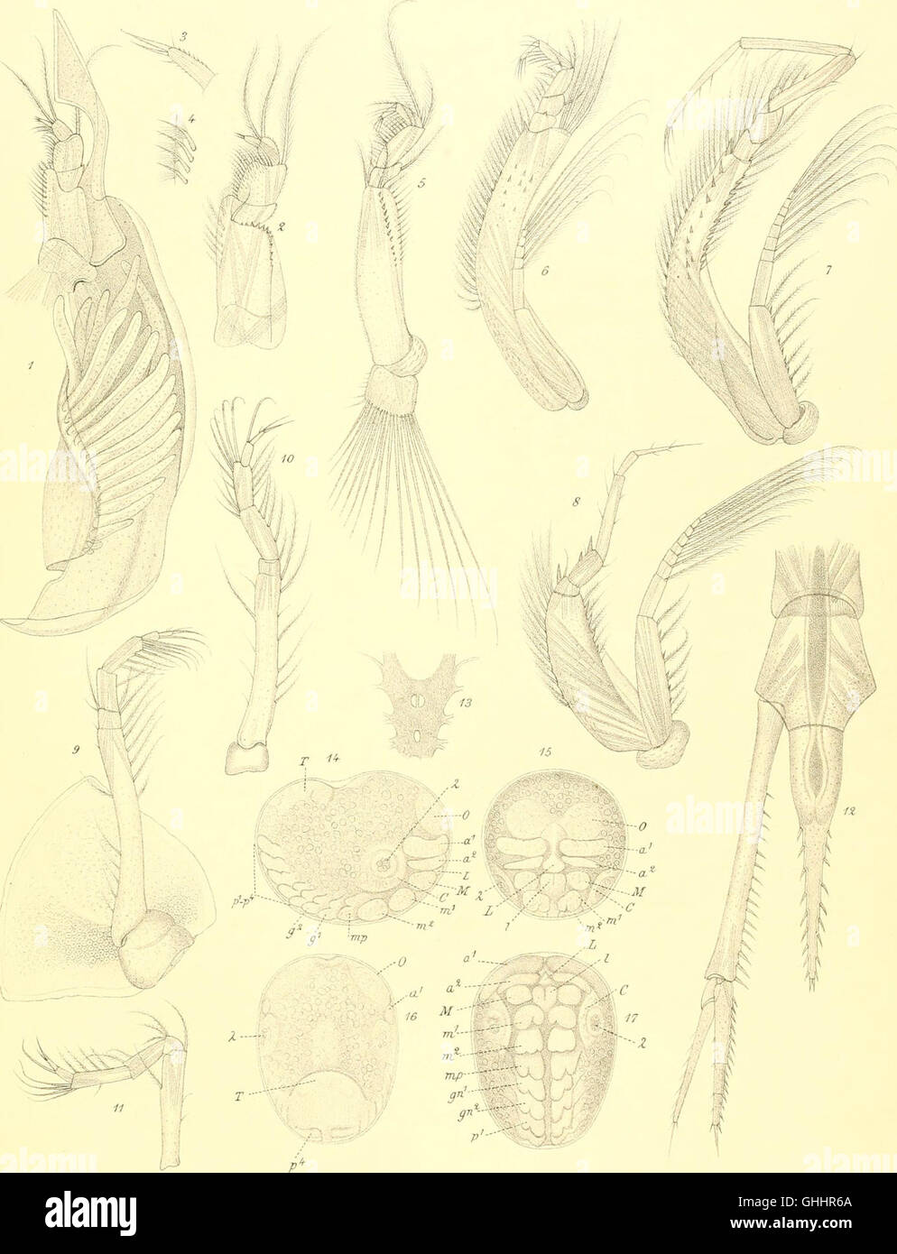 This 1880 report presents the scientific findings from the HMS ...