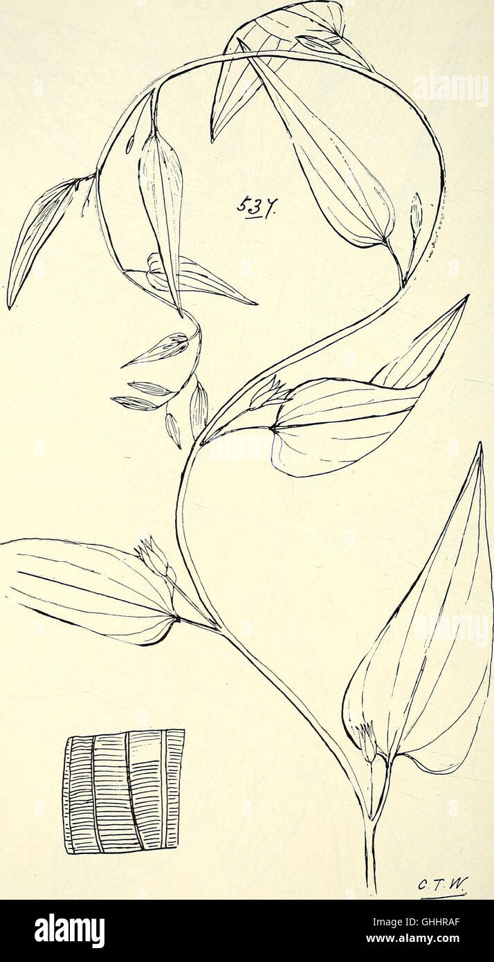 This catalogue details both indigenous and naturalized plant species in ...