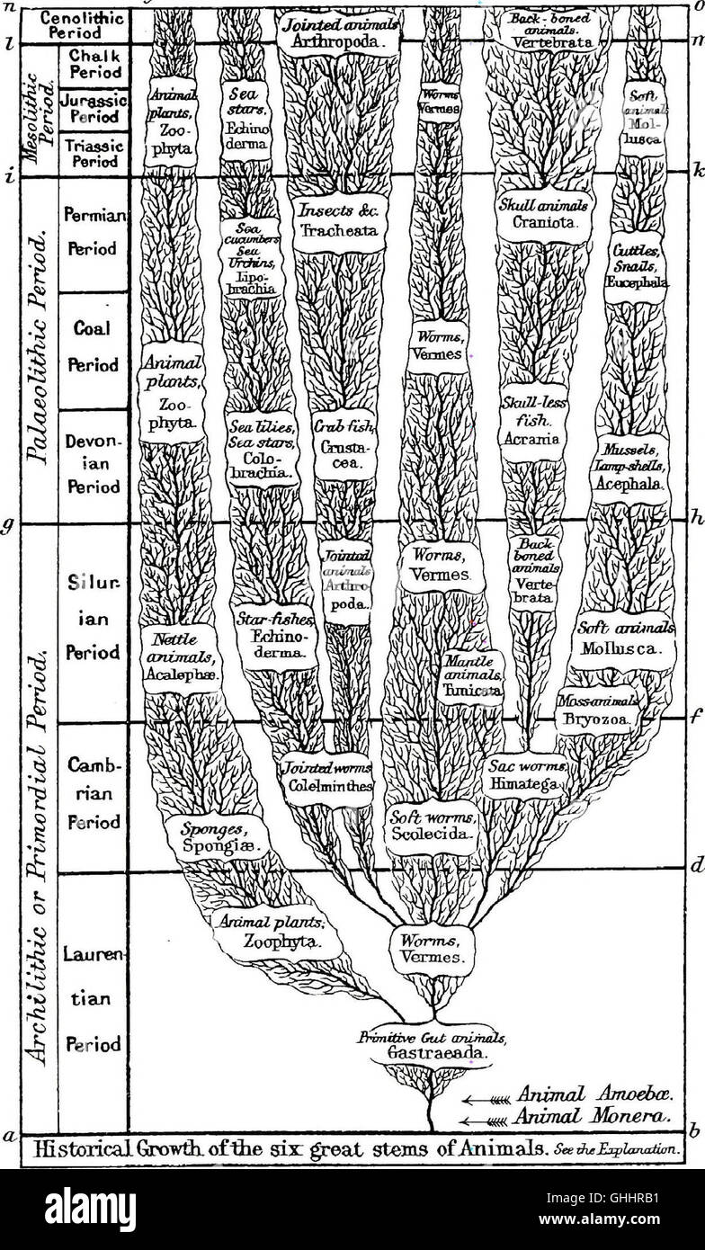 Map of creation Black and White Stock Photos & Images - Alamy
