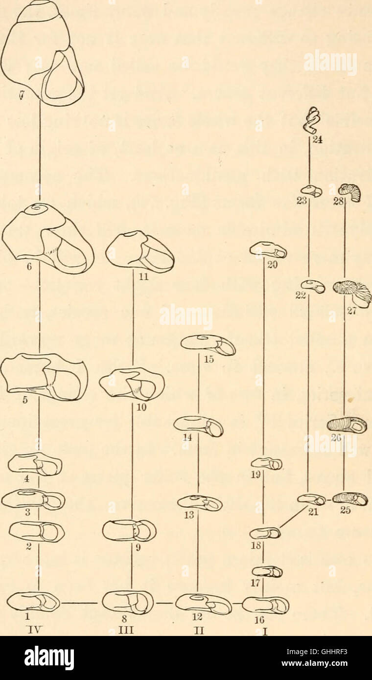 An 1888 work exploring the relationship between the theory of evolution ...