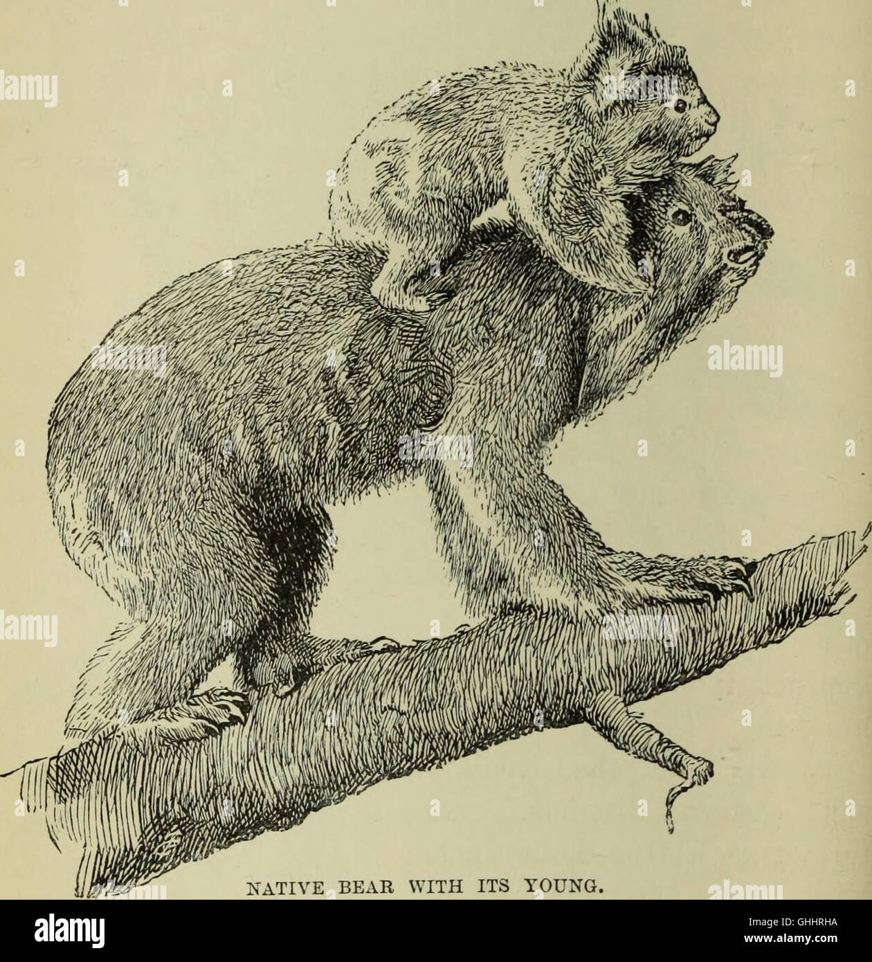 This 1893 work offers a detailed account of Australia and New Zealand ...