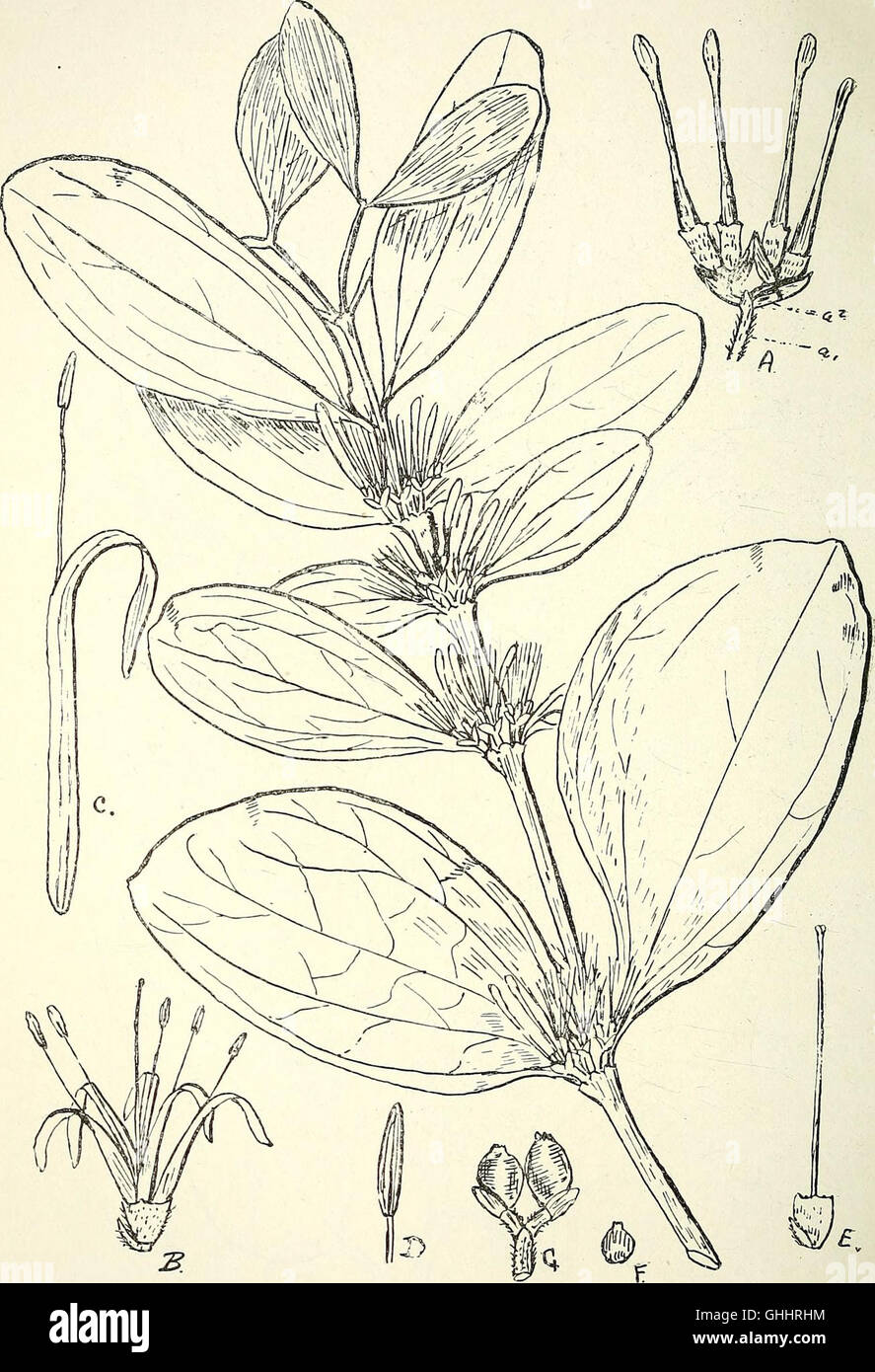 This comprehensive catalogue offers detailed information on both ...