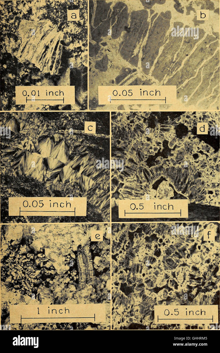 A journal dedicated to the study of Canadian wildlife, offering ...