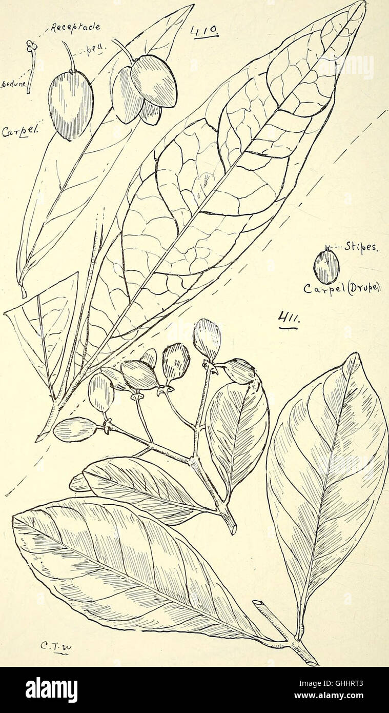 This catalogue provides a comprehensive listing of Queensland's ...